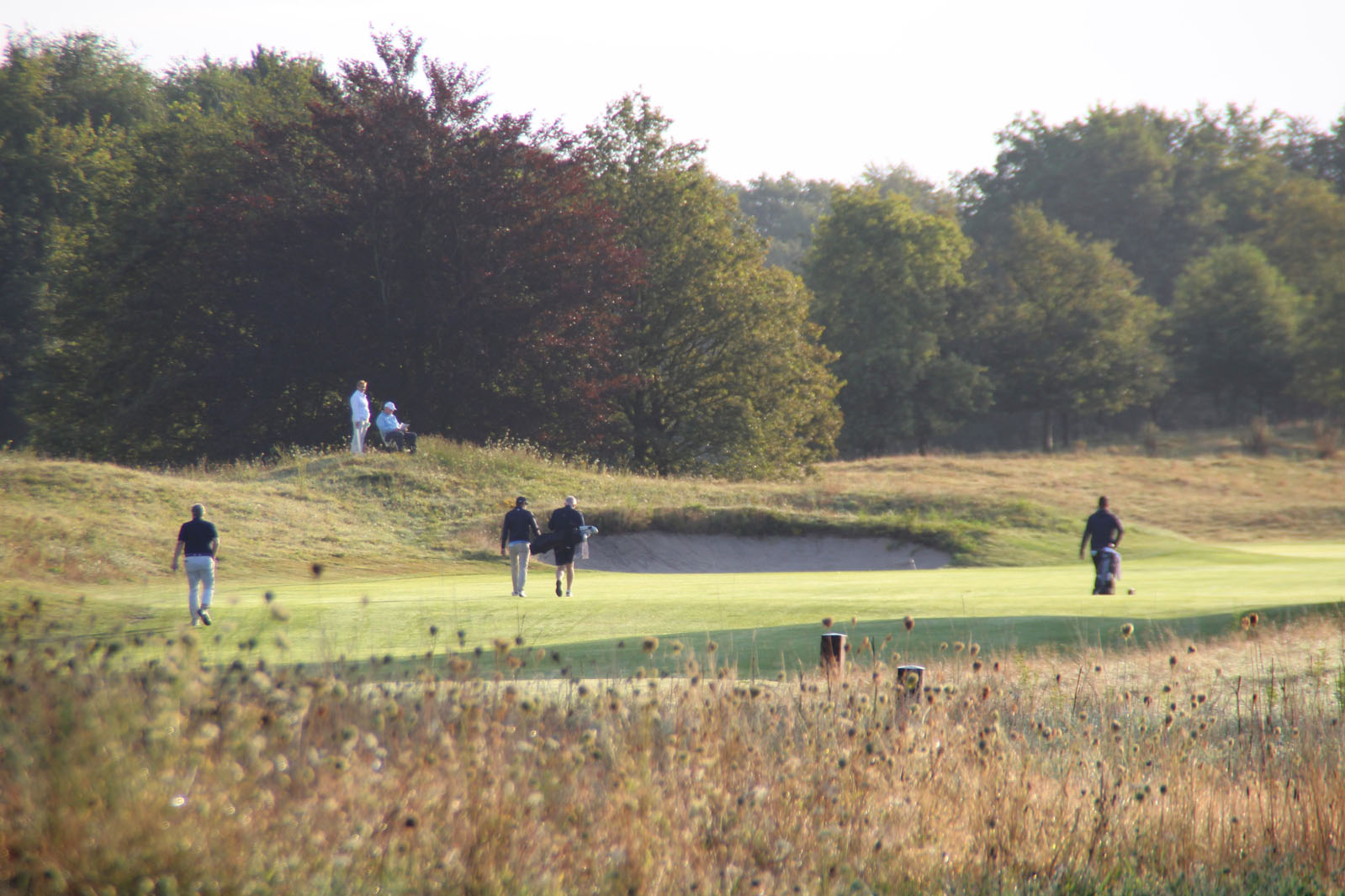 Pro Golf Tour - Golfstars of tomorrow - PGT (EN)