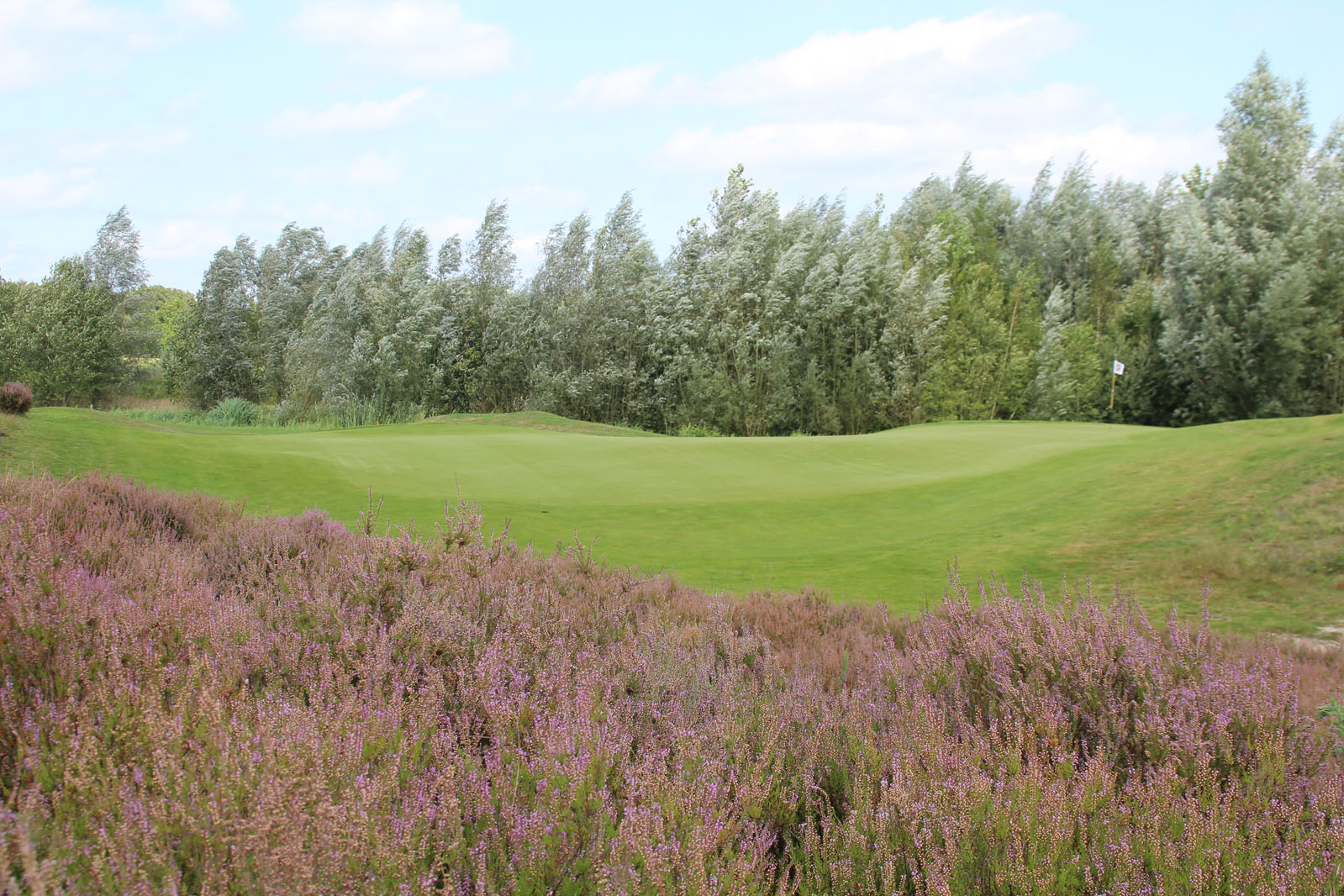 Pro Golf Tour - Golfstars of tomorrow - PGT (EN)